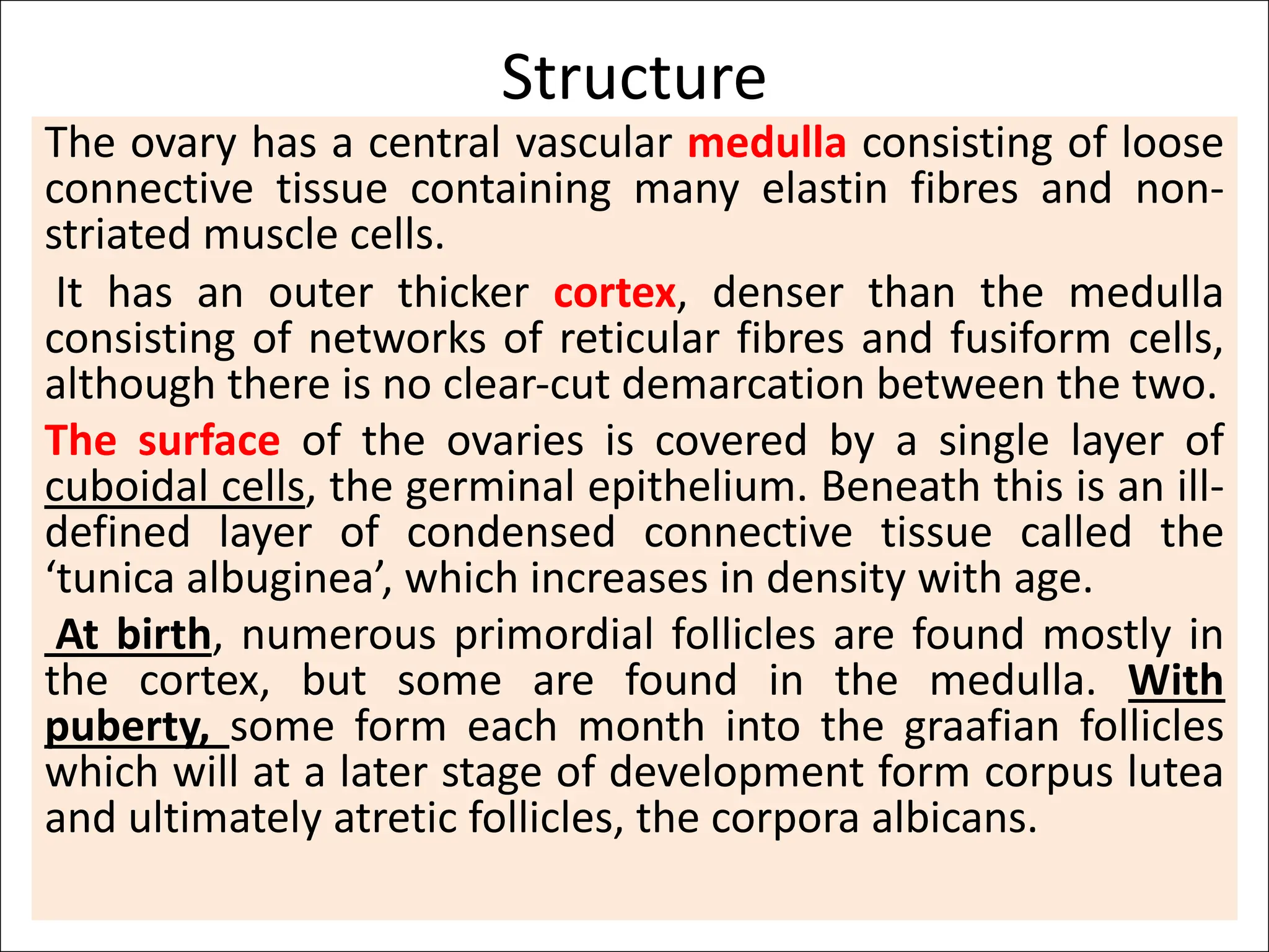 Anatomy female genital tract of external anatomy | PPT