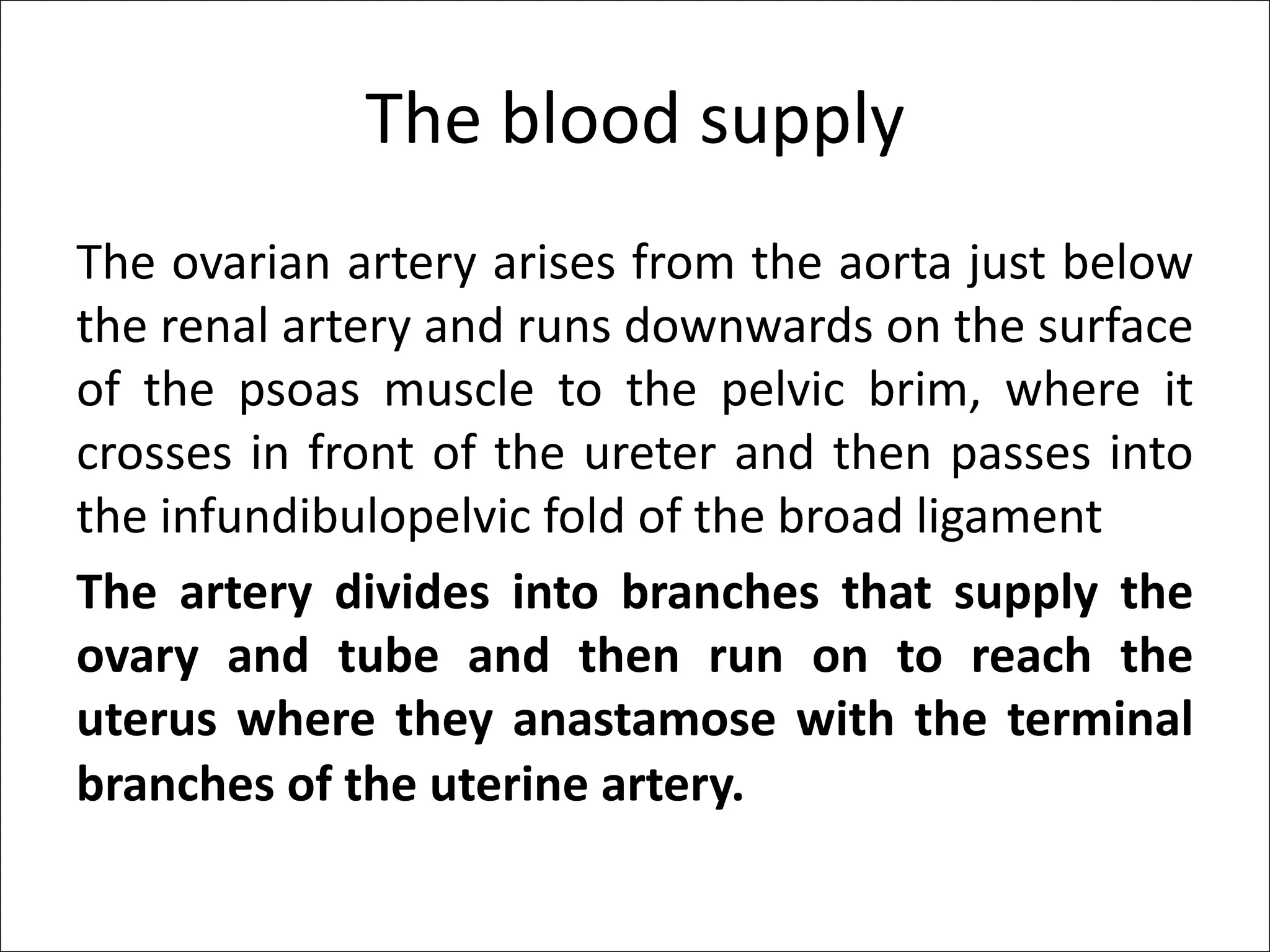 Anatomy female genital tract of external anatomy | PPT