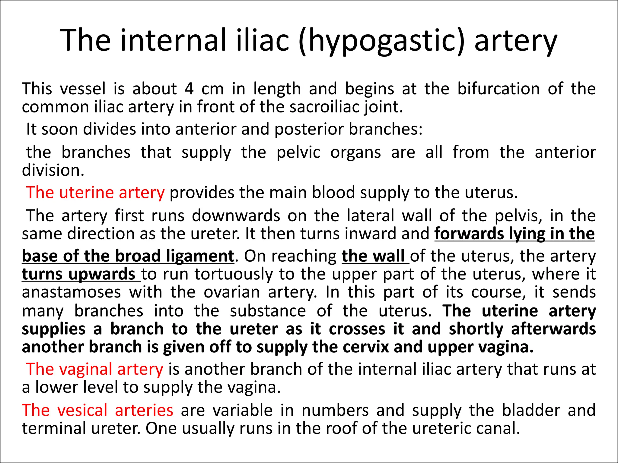 Anatomy female genital tract of external anatomy | PPT