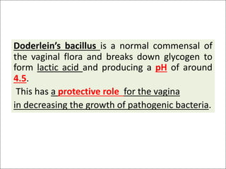 Anatomy female genital tract of external anatomy | PPT
