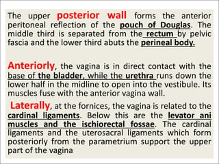 Anatomy female genital tract of external anatomy | PDF