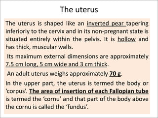 Anatomy female genital tract of external anatomy | PPT