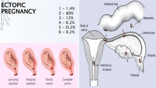 ANATOMY FERTILIZATION, IMPLANTATION AND EMBRYONIC WEEK.pptx