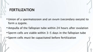 ANATOMY FERTILIZATION, IMPLANTATION AND EMBRYONIC WEEK.pptx