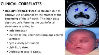 ANATOMY FERTILIZATION, IMPLANTATION AND EMBRYONIC WEEK.pptx
