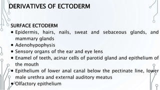 ANATOMY FERTILIZATION, IMPLANTATION AND EMBRYONIC WEEK.pptx