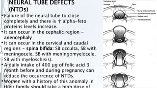 ANATOMY FERTILIZATION, IMPLANTATION AND EMBRYONIC WEEK.pptx