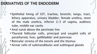 ANATOMY FERTILIZATION, IMPLANTATION AND EMBRYONIC WEEK.pptx