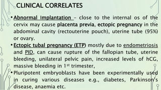 ANATOMY FERTILIZATION, IMPLANTATION AND EMBRYONIC WEEK.pptx