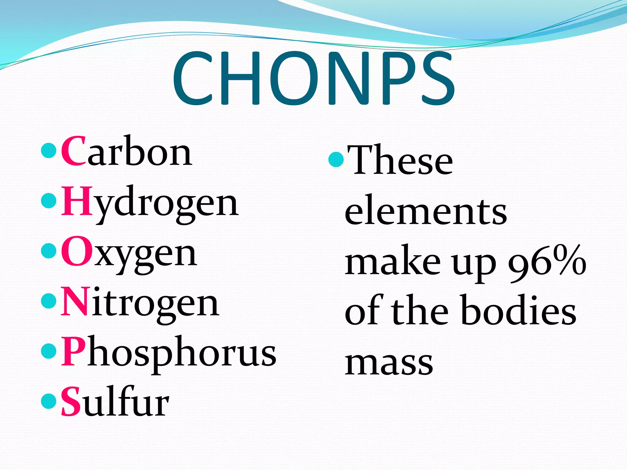 Anatomy Final Exam Review | PPTX