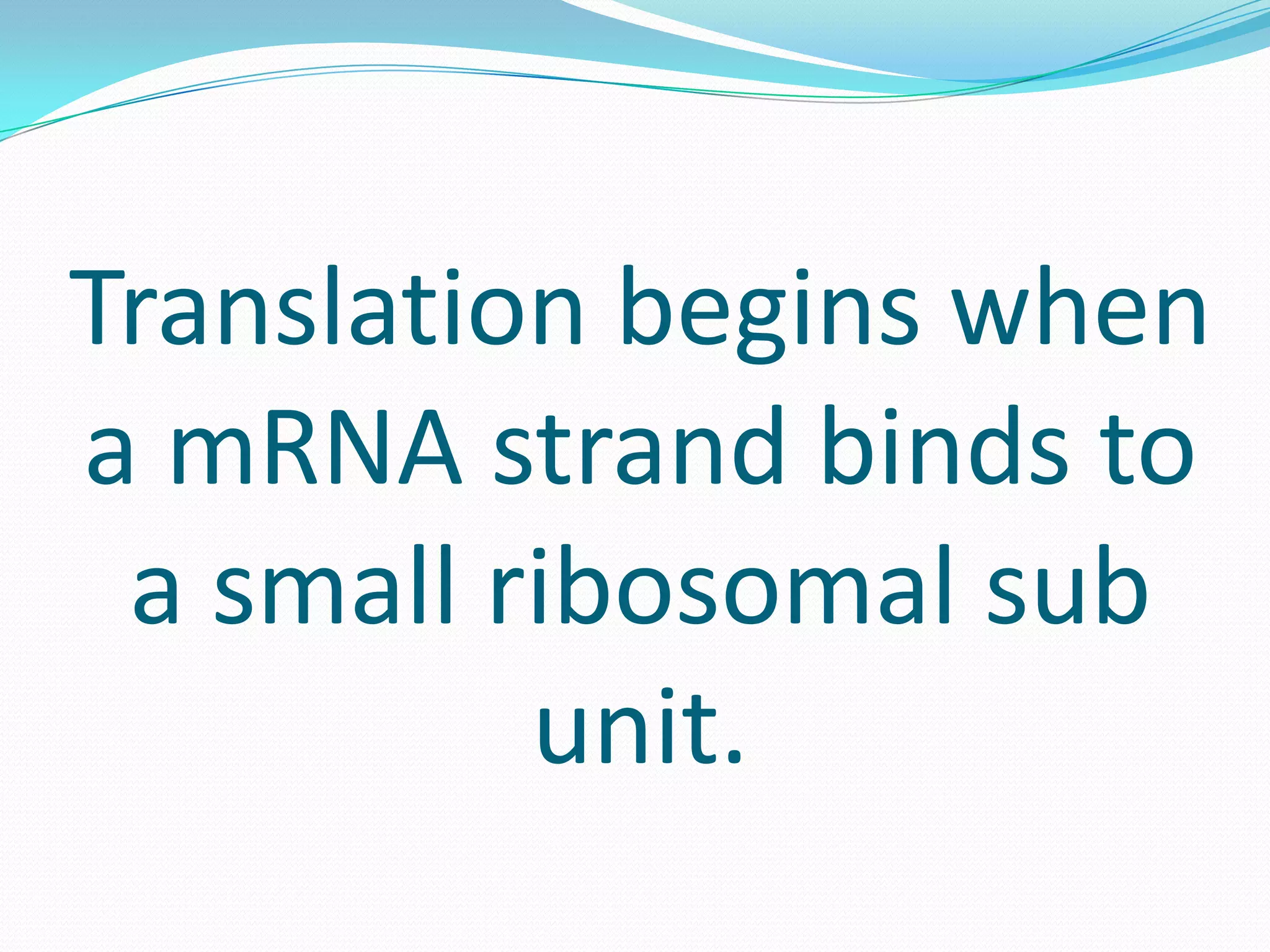 Anatomy Final Exam Review | PPTX