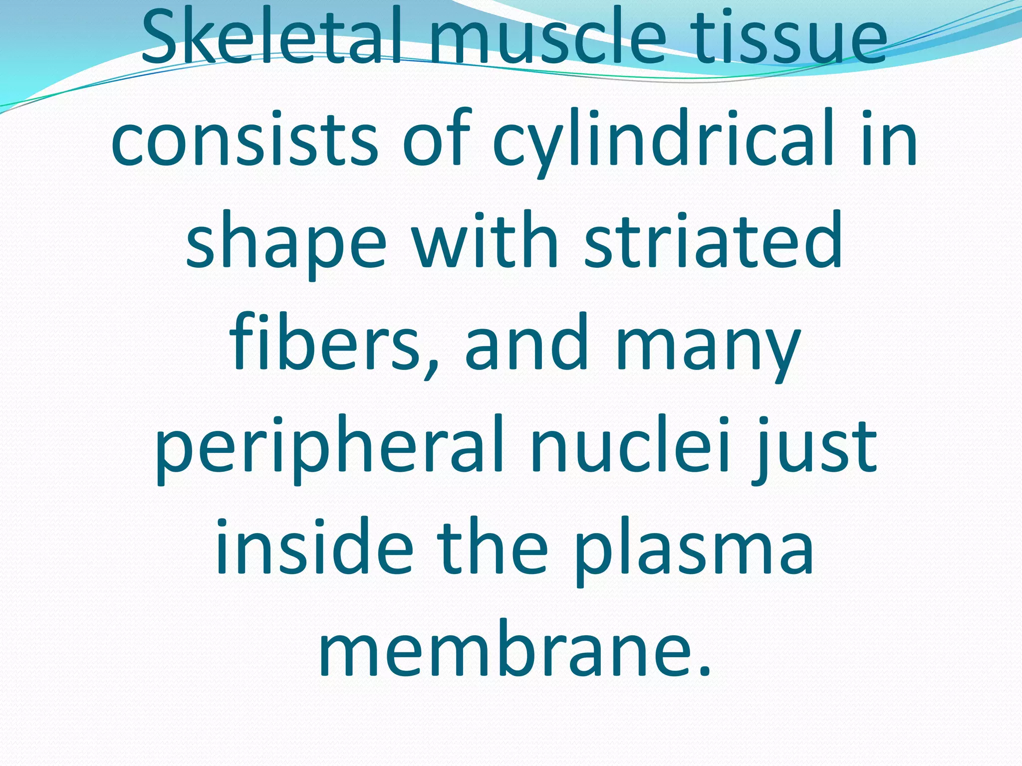 Anatomy Final Exam Review | PPTX