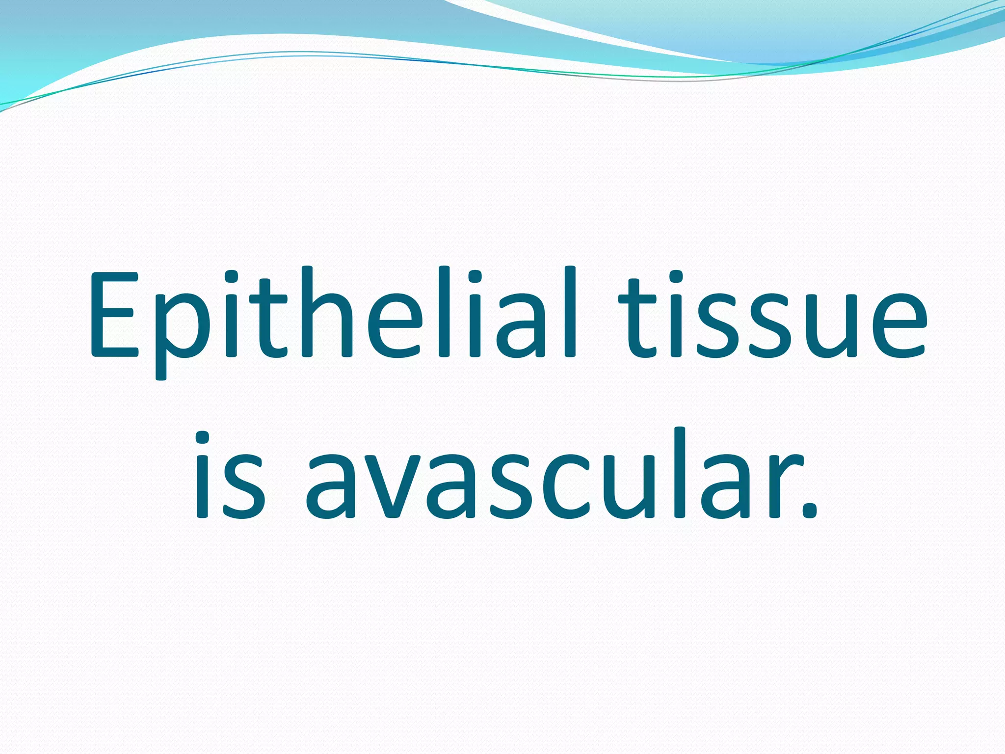 Anatomy Final Exam Review | PPTX