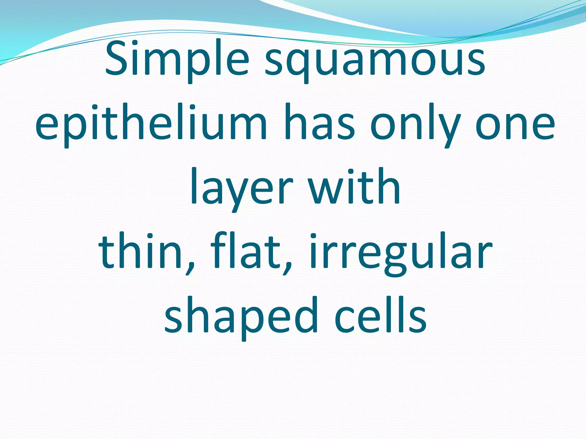 Anatomy Final Exam Review | PPTX