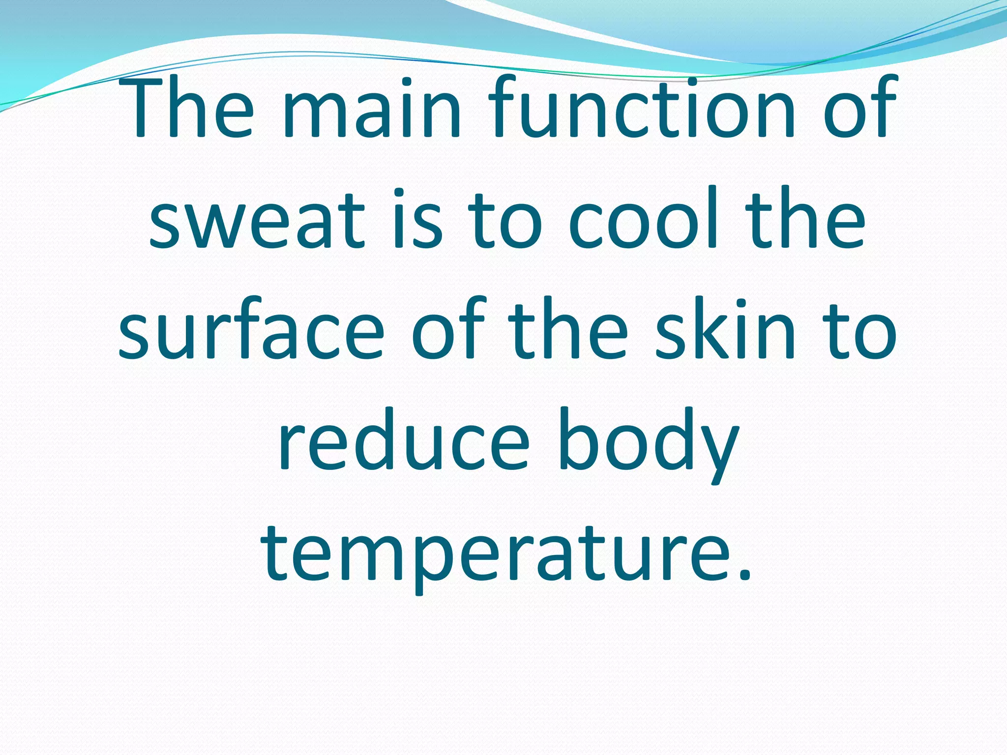 Anatomy Final Exam Review | PPTX