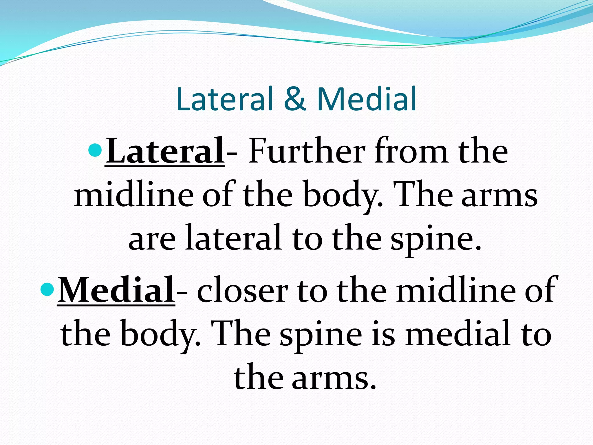 Anatomy Final Exam Review | PPTX