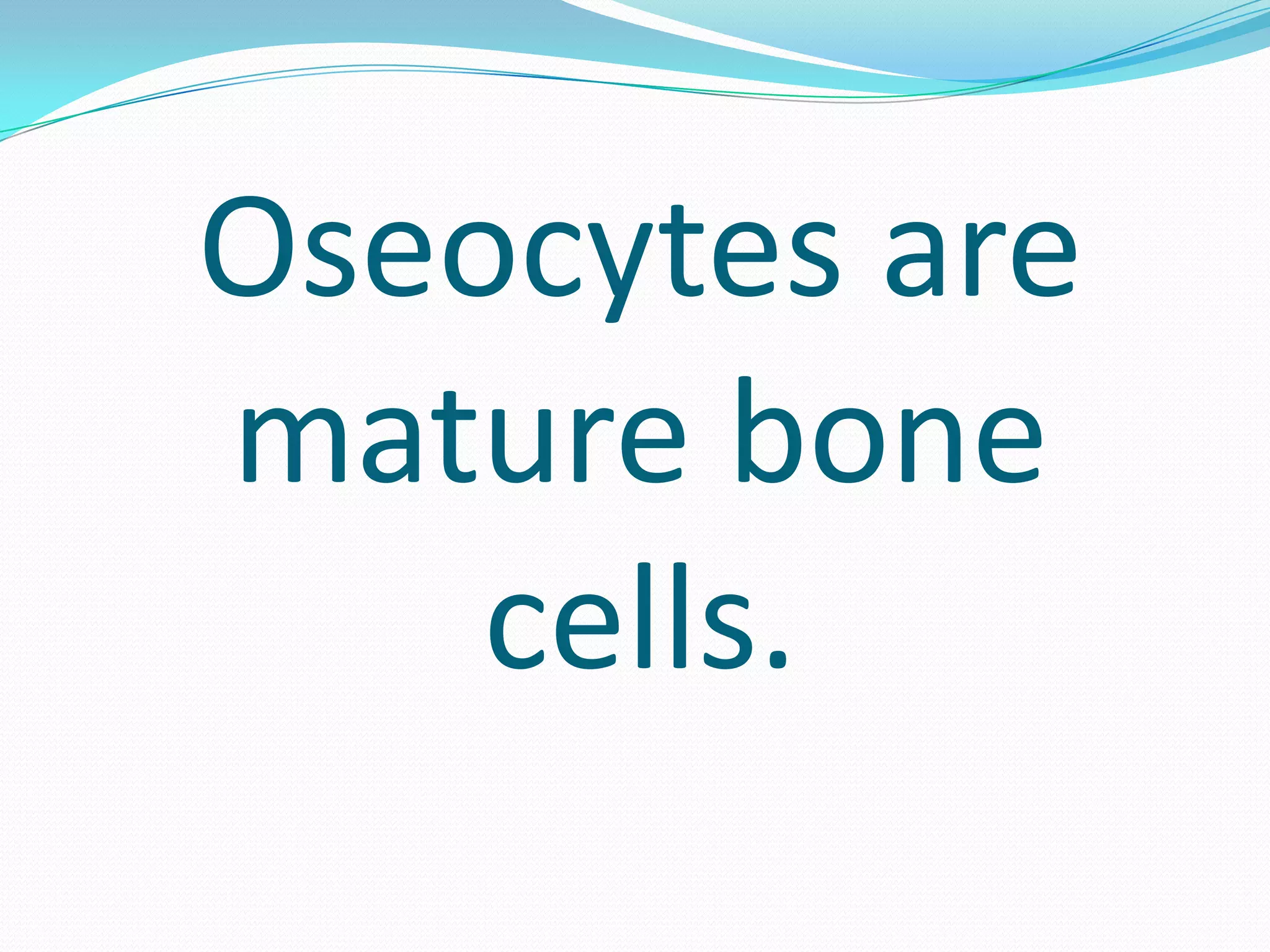 Anatomy Final Exam Review | PPTX