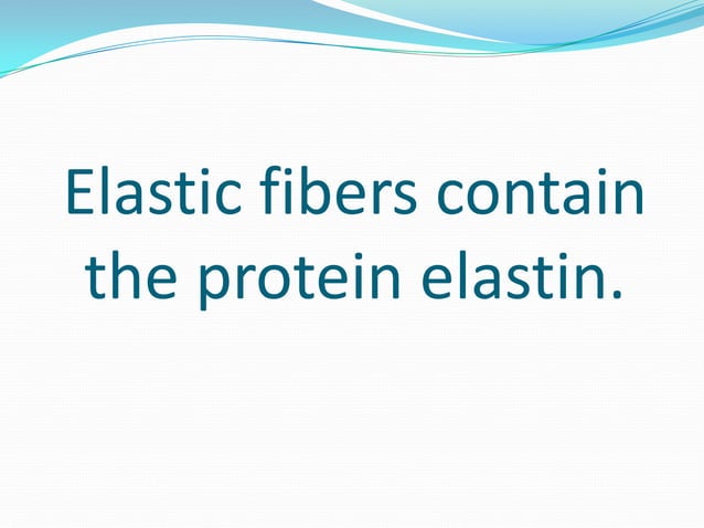 Anatomy Final Exam Review | PPT