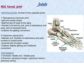 Anatomy Foot.ppt