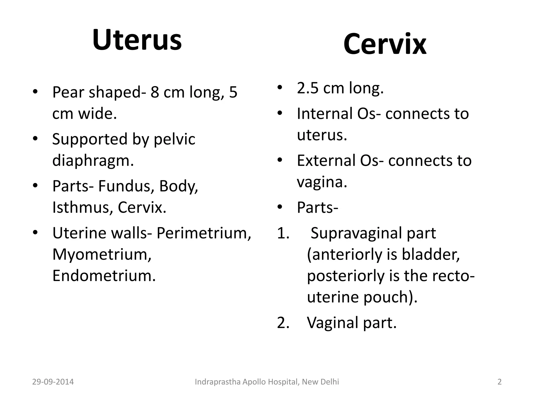 Anatomy for anaesthesia, nerve supply of Uterus & Cervix | PPTX