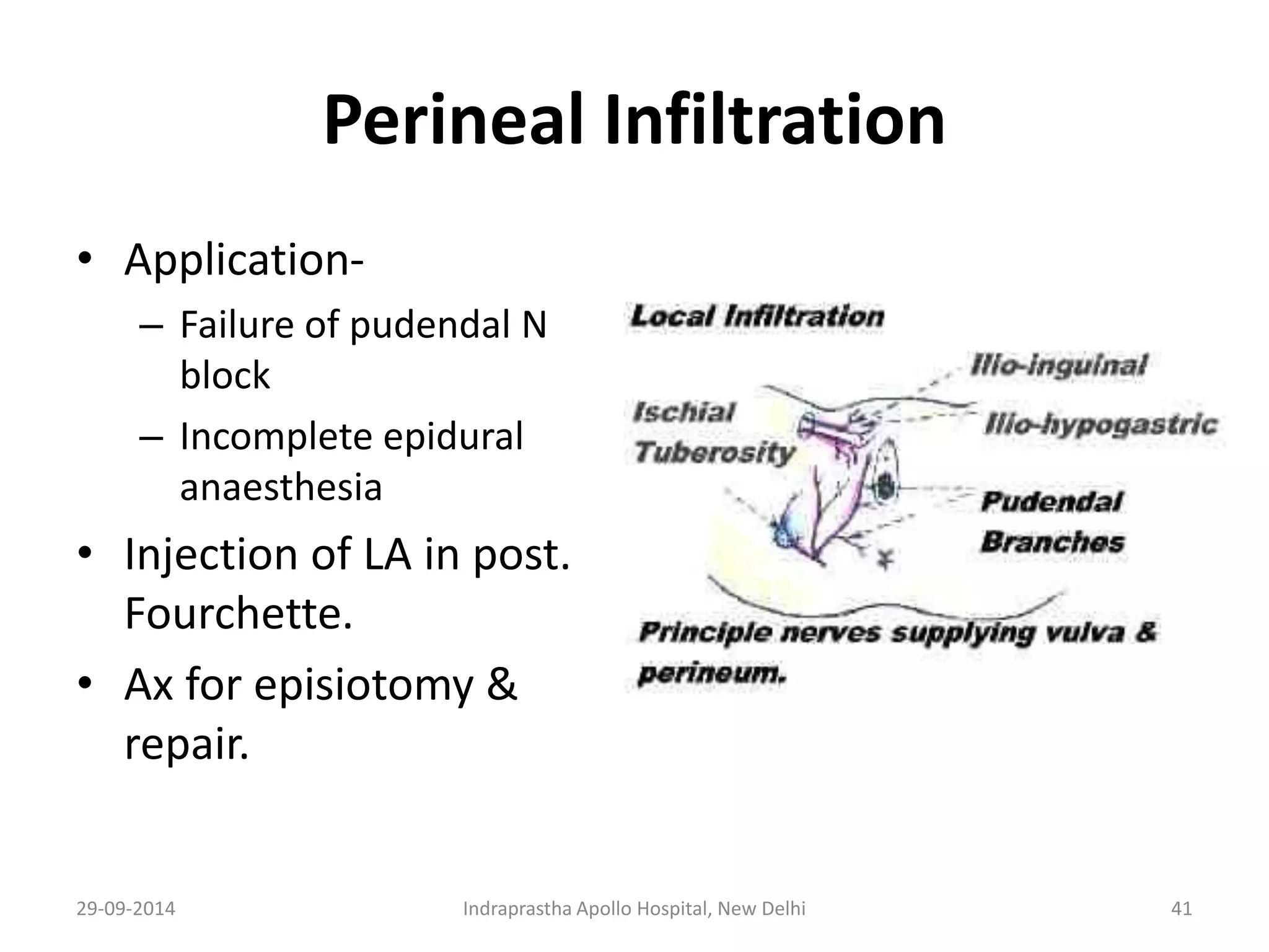 Anatomy for anaesthesia, nerve supply of Uterus & Cervix | PPTX