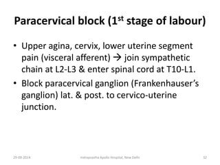 Anatomy for anaesthesia, nerve supply of Uterus & Cervix | PPTX