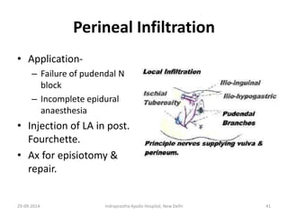 Anatomy for anaesthesia, nerve supply of Uterus & Cervix | PPTX