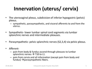 Anatomy for anaesthesia, nerve supply of Uterus & Cervix | PPTX
