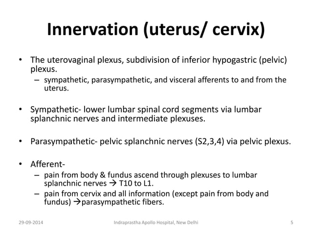 Anatomy for anaesthesia, nerve supply of Uterus & Cervix | PPTX ...