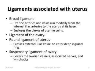 Anatomy for anaesthesia, nerve supply of Uterus & Cervix | PPTX ...