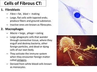 Anatomy for bsc-1forbsc nurse referrence | PPT
