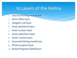 Anatomy for lu4 | PPTX