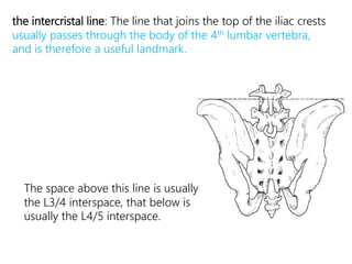 Anatomy for lumber neuraxial anesthesia | PDF | Death, Injury, or ...