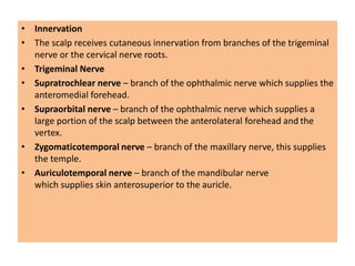 Anatomy frist topic Scalp.pptx | Ear, Nose and Throat Conditions ...