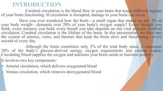 Presentation on cerebral circulation in anatomy .pdf