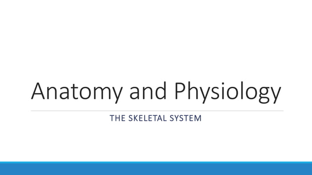 The Skeletal System | PPT