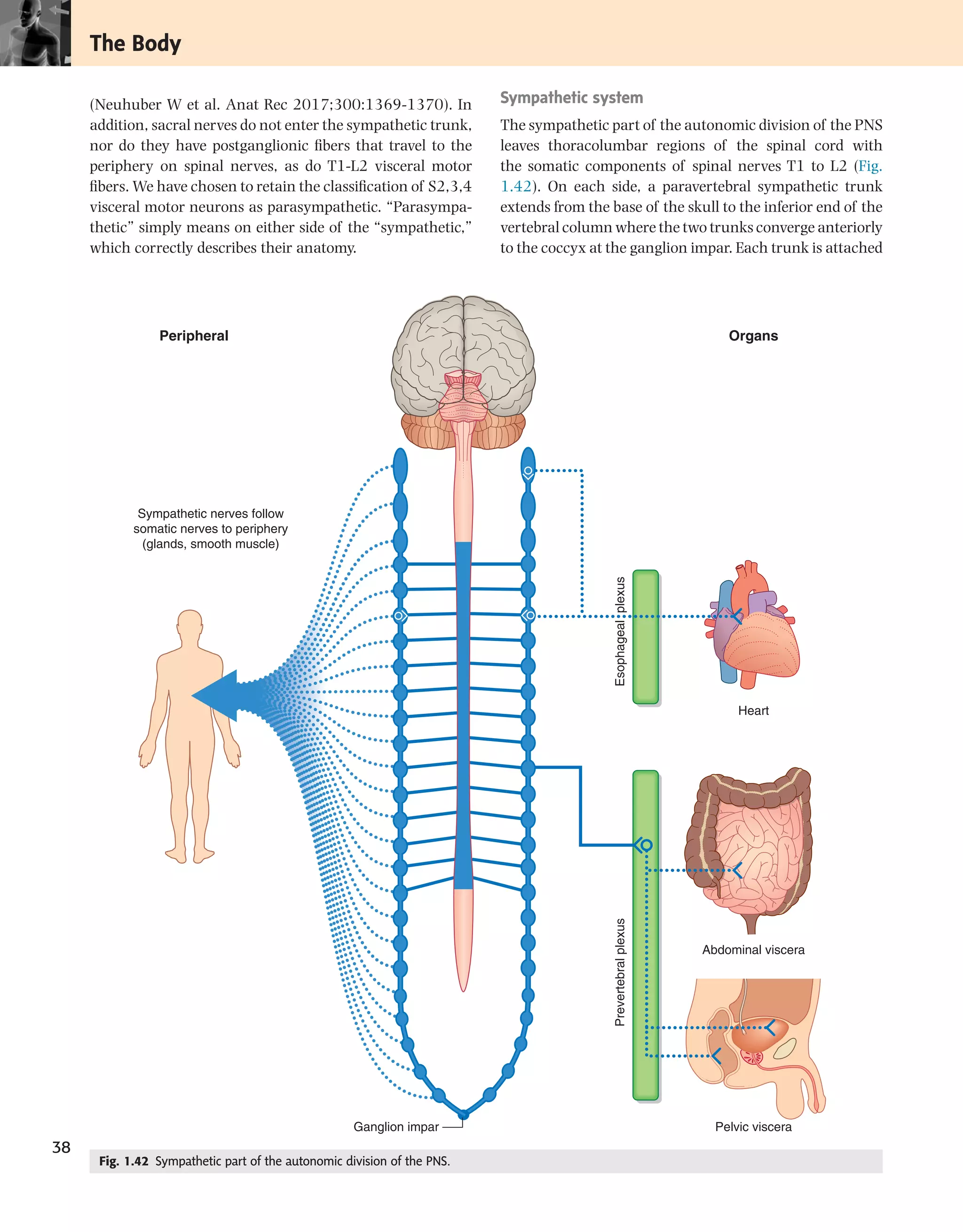 Anatomy Gray 4º Edición.pdf