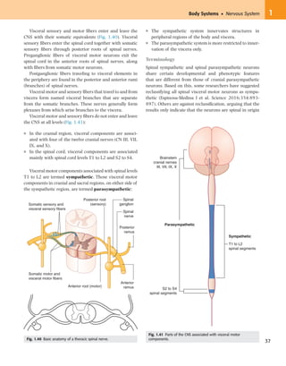 Anatomy Gray 4º Edición.pdf