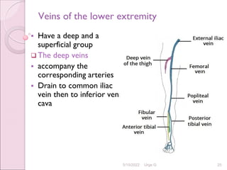 Anatomy Great blood vessels.pdf
