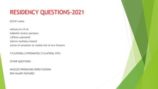 Anatomy guideline | PPT