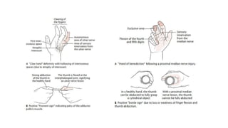 Gross anatomy of the hand with diagrams.pptx