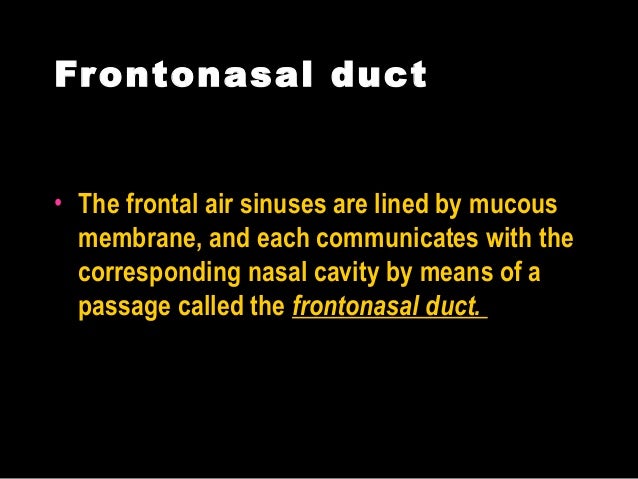 Frontonasal Duct