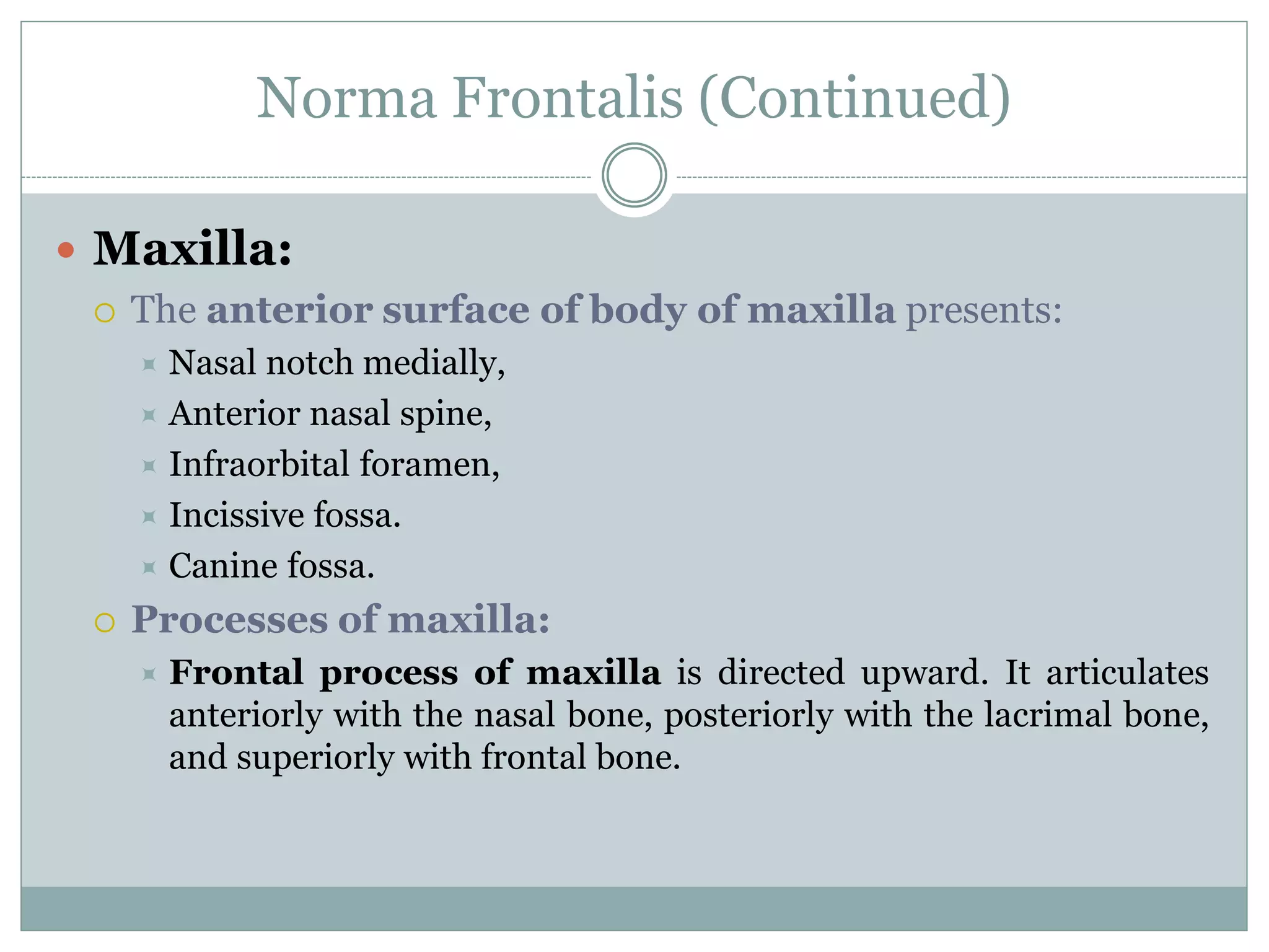 Anatomy head and neck(norma frontalis) | PDF