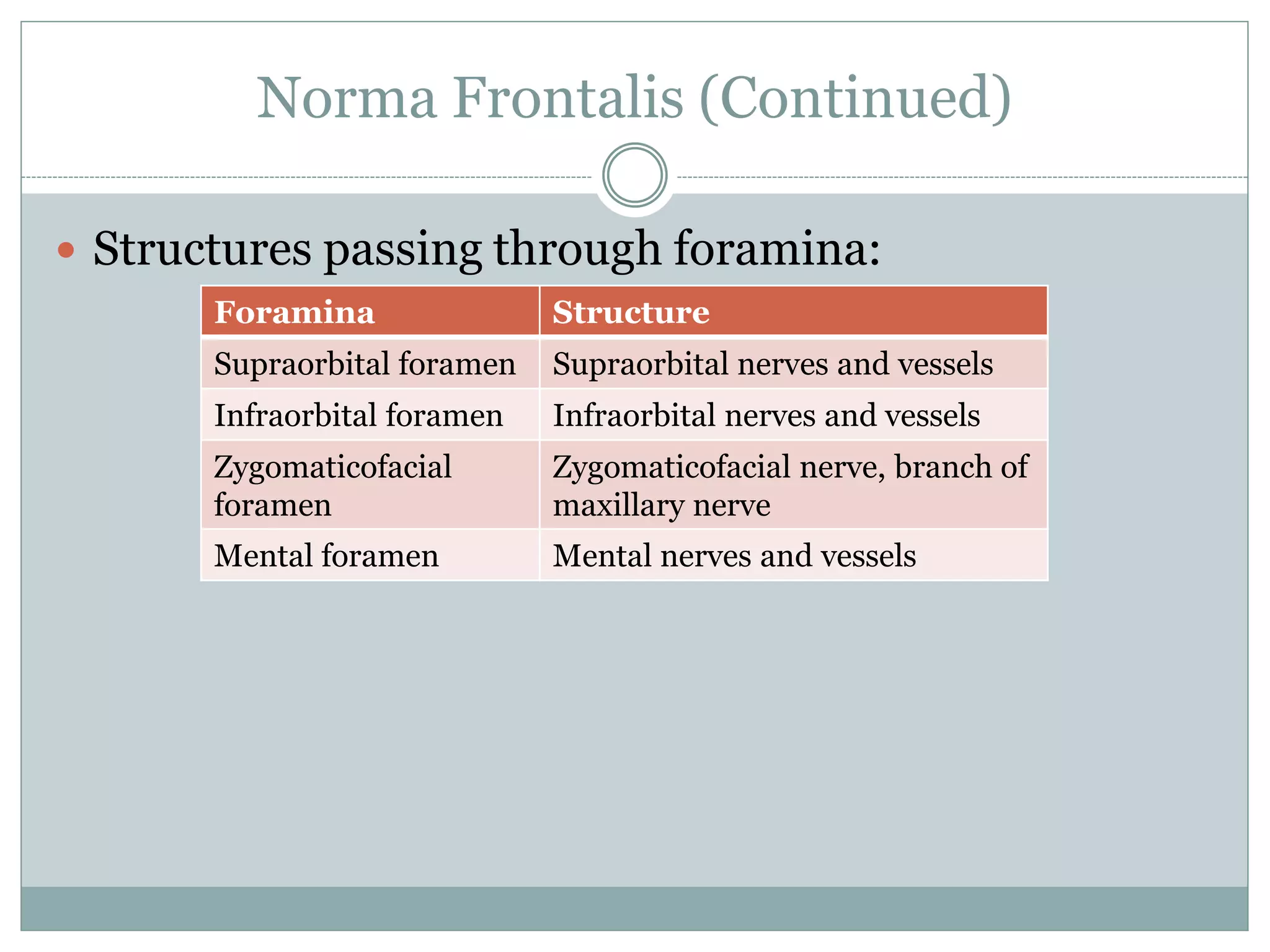 Anatomy head and neck(norma frontalis) | PDF