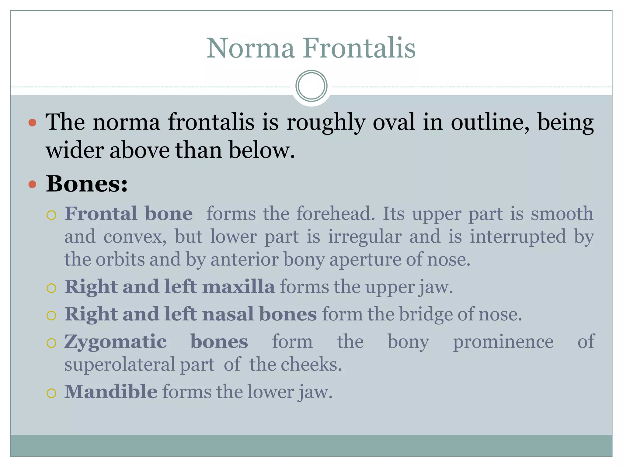 Anatomy head and neck(norma frontalis) | PDF