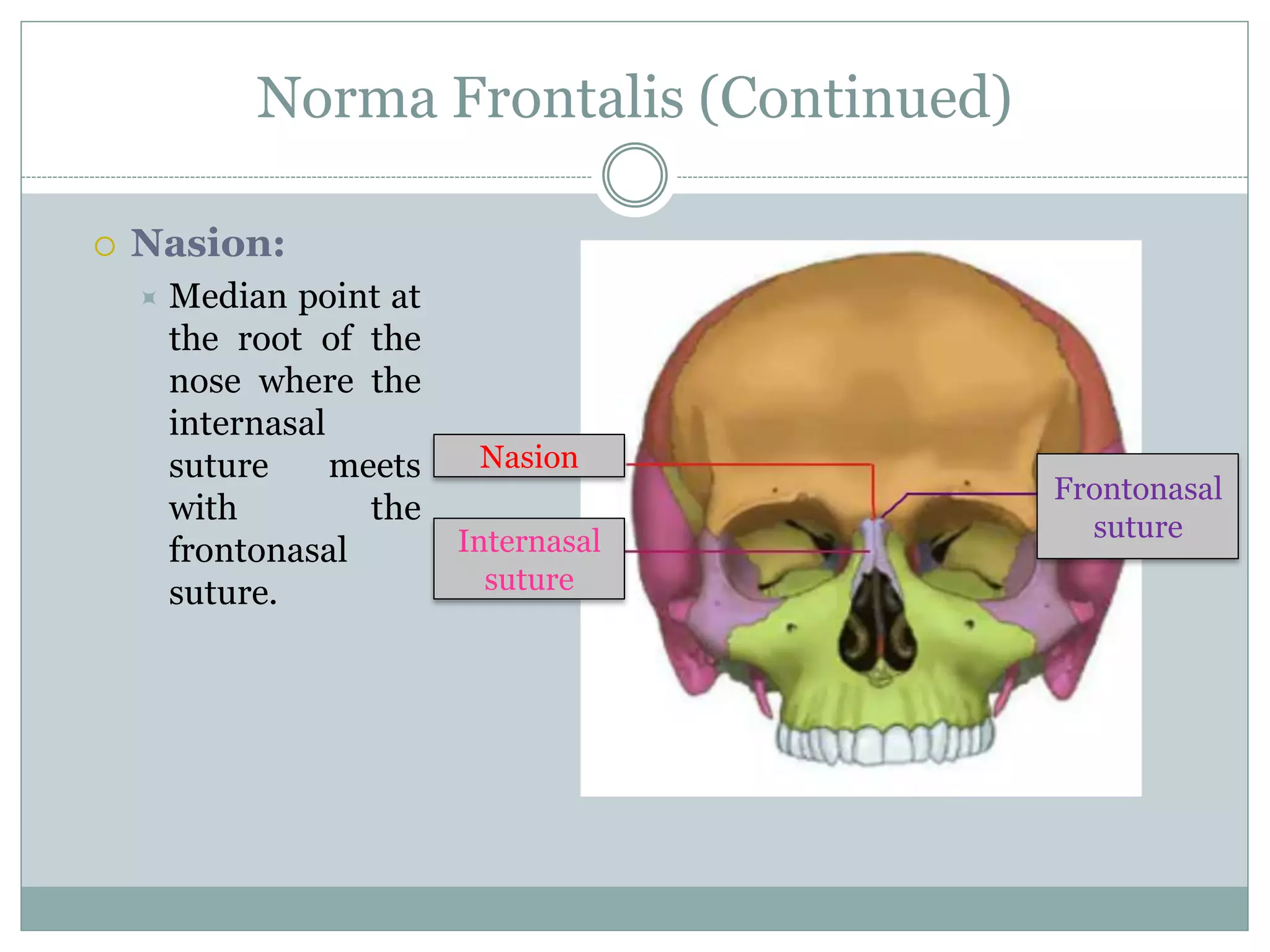 Anatomy head and neck(norma frontalis) | PDF