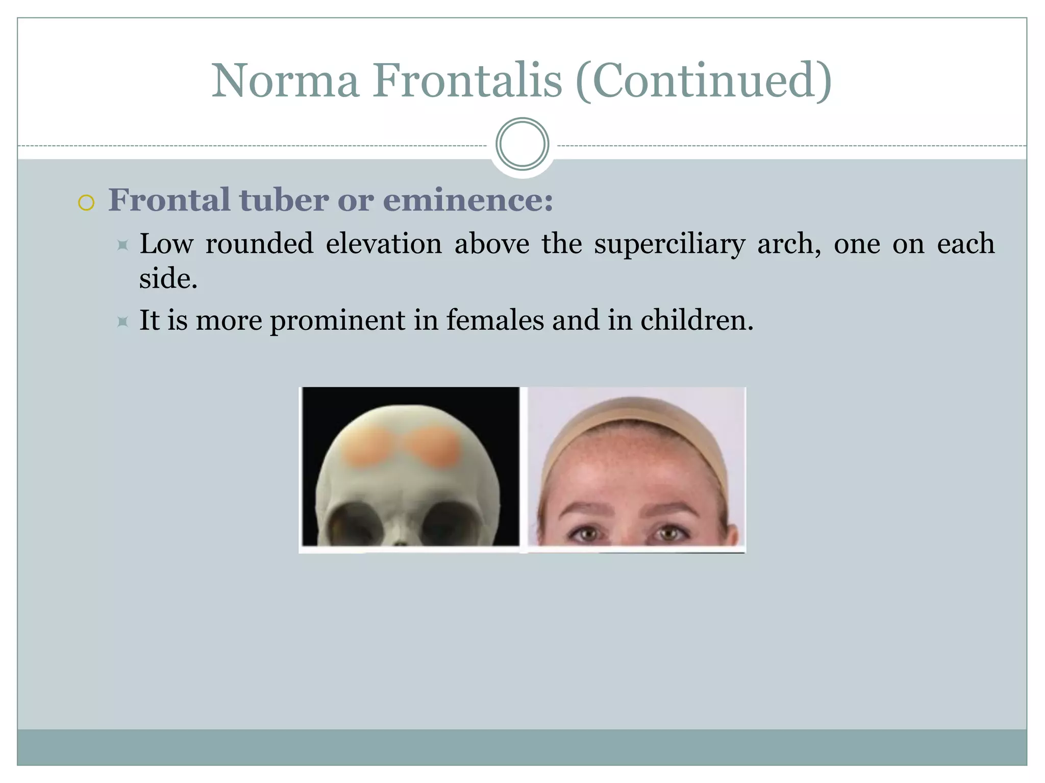 Anatomy head and neck(norma frontalis) | PDF