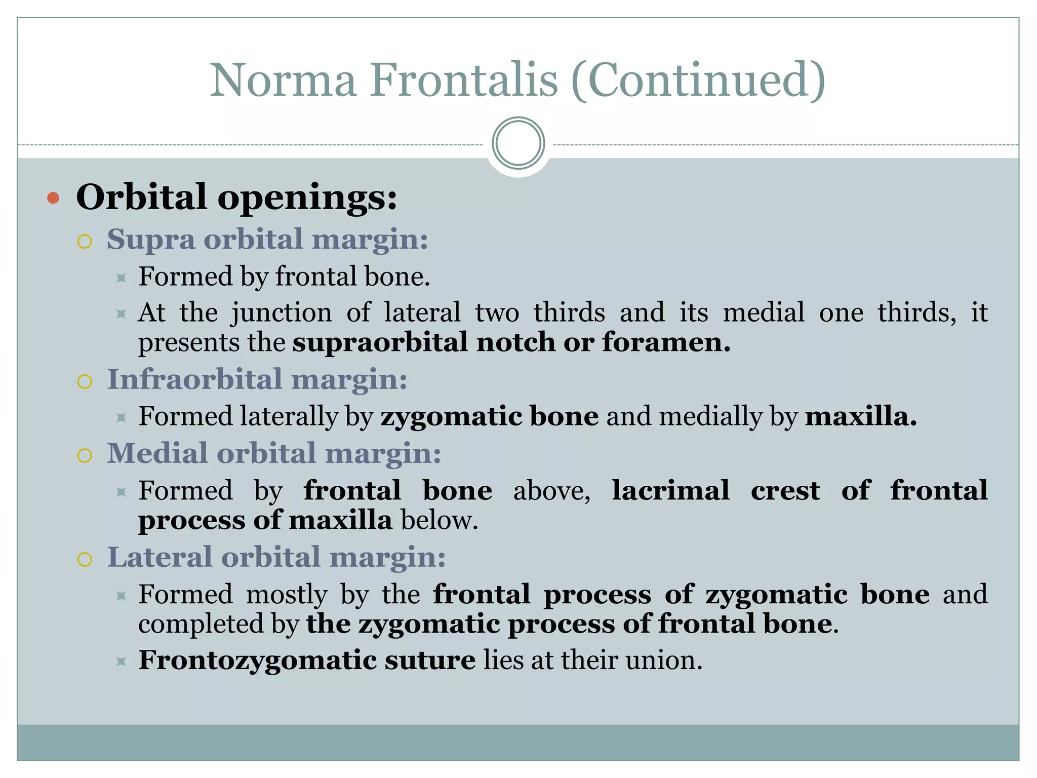 Anatomy head and neck(norma frontalis) | PDF