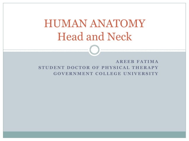 Anatomy head and neck(norma frontalis) | PDF