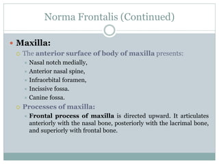 Anatomy head and neck(norma frontalis) | PDF
